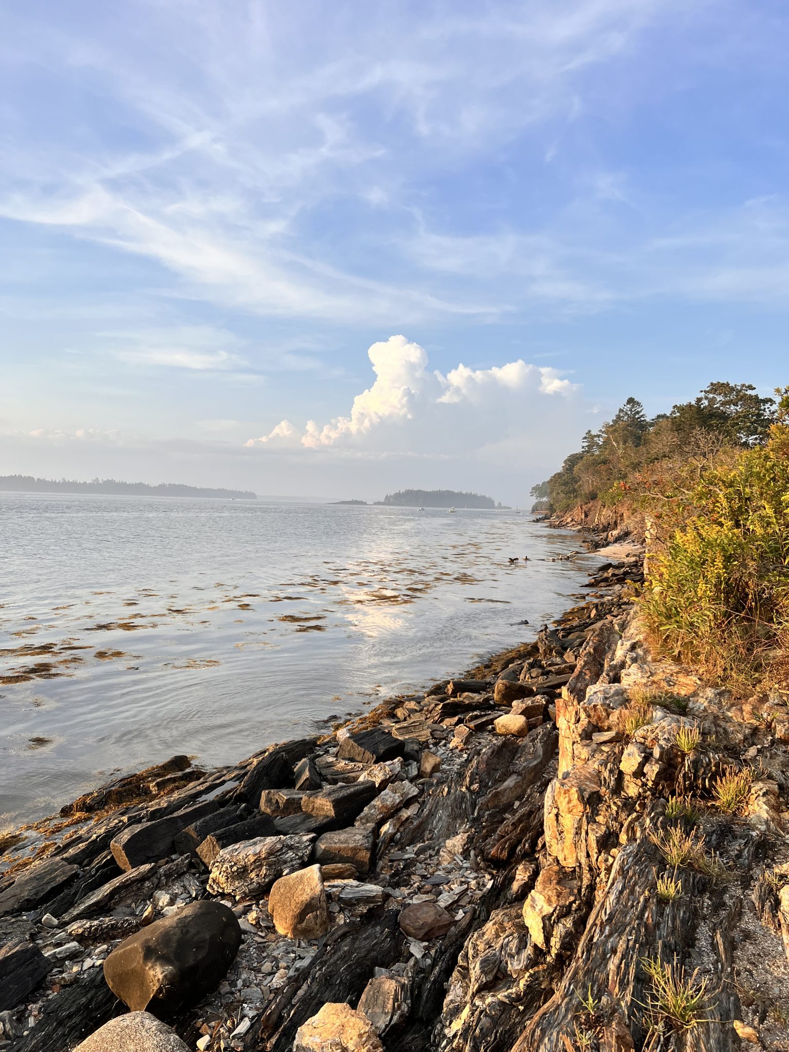 MAEA Conference 2025 | MAEA